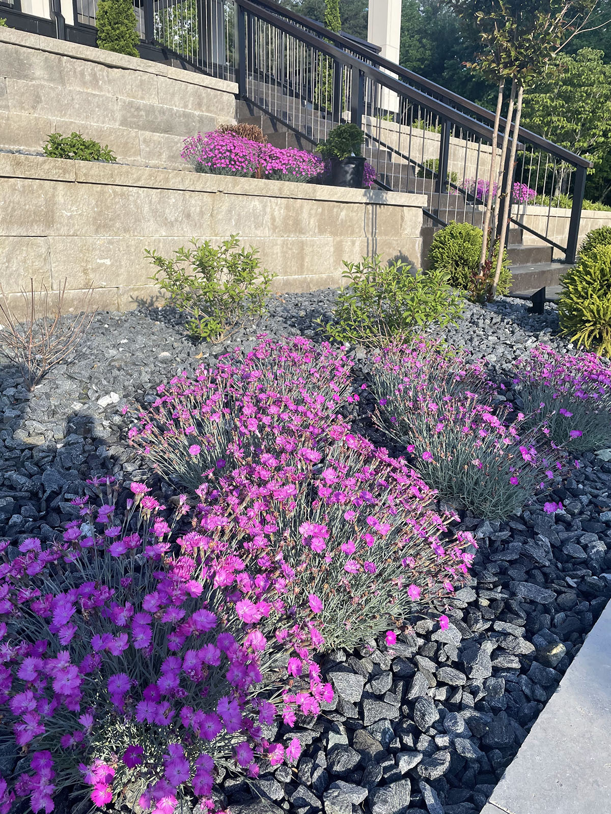 Softscape & Planting - Aching Acres Landscaping