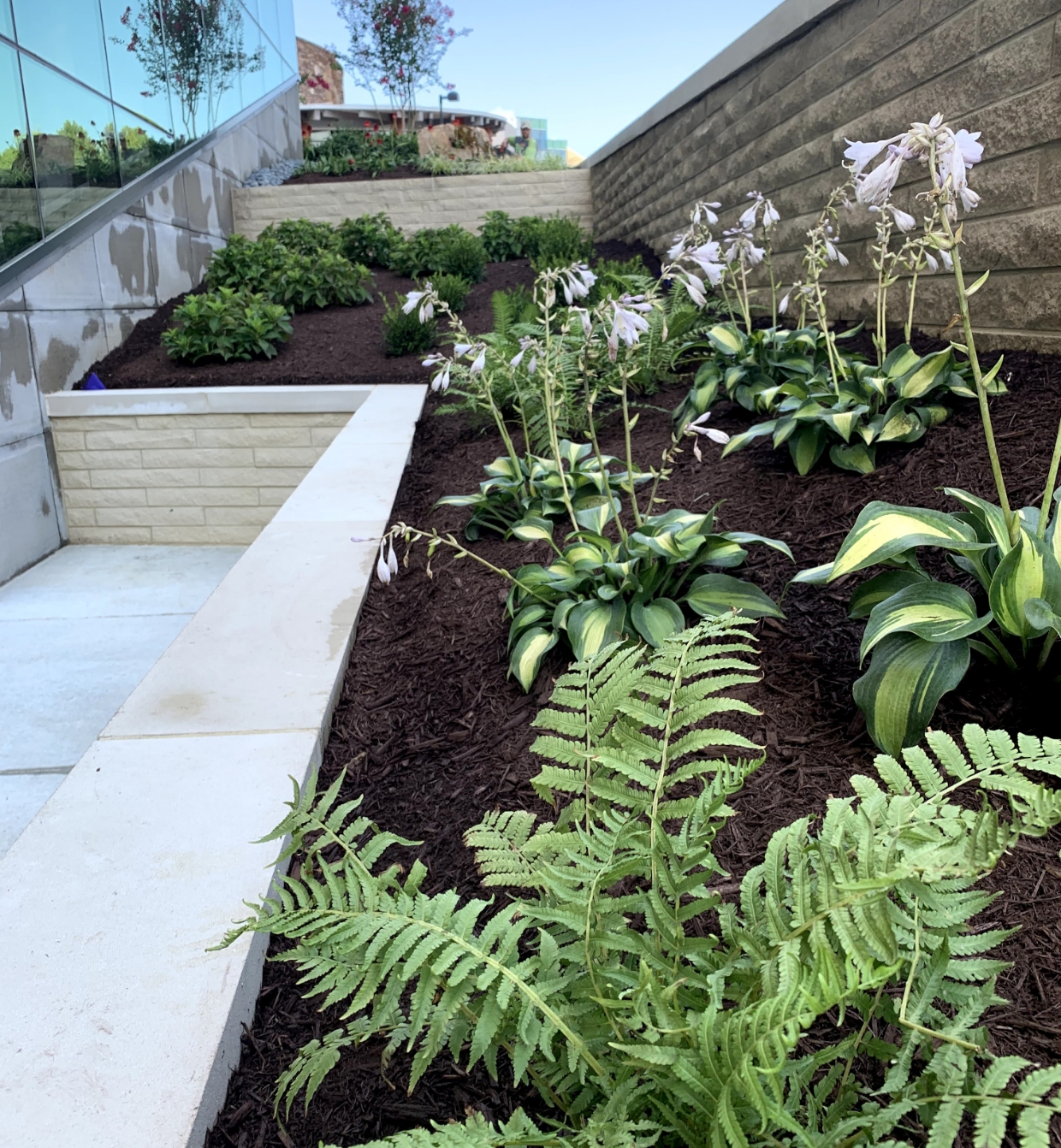 Softscape & Planting - Aching Acres Landscaping